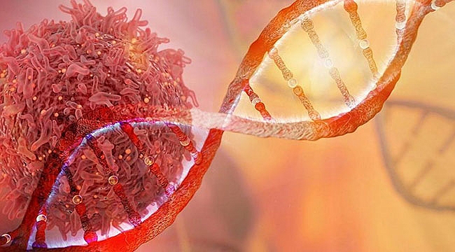 Kanser Nedir, Nasıl Oluşur? - Sağlık - Metropol Haber