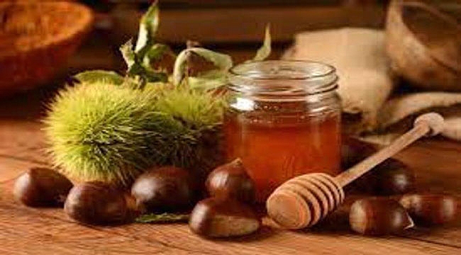 Kestane balı nereden alınır? Kestane balının faydaları nelerdir ...