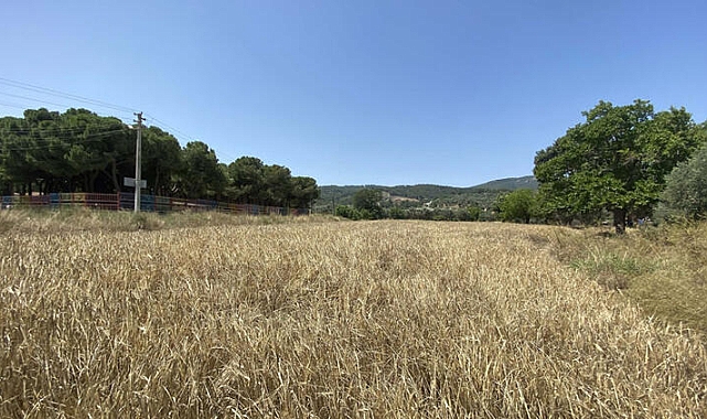 'Botanik Turizm Rotası Oluşturma' Önerisi - Genel - Metropol Haber